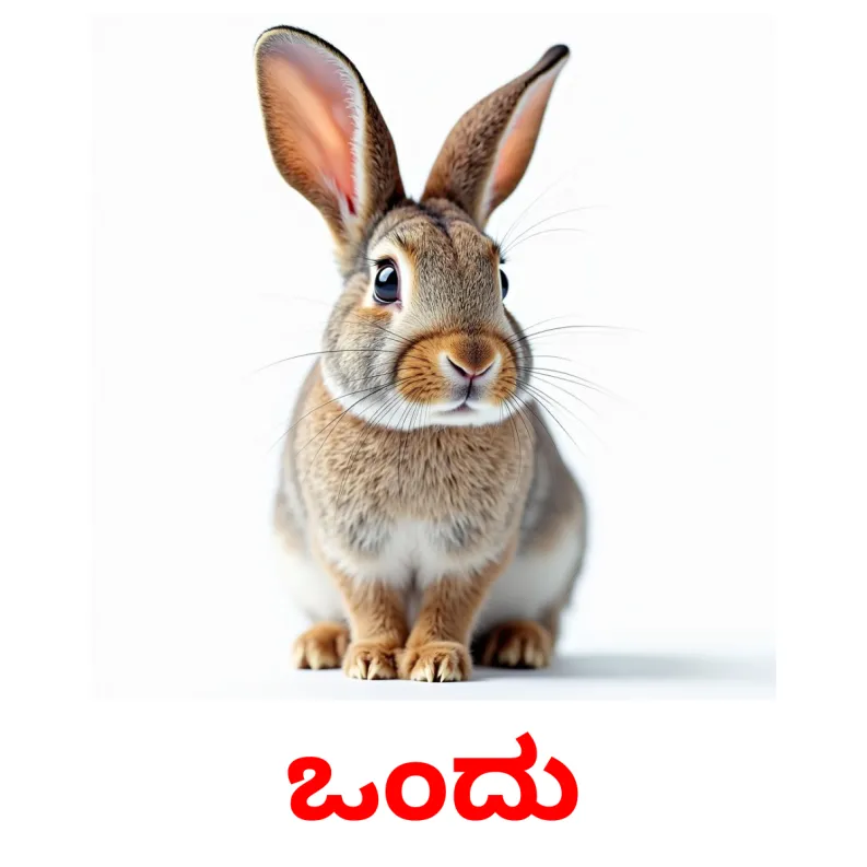 10 FREE Counting Flashcards | PDF | Kannada Words