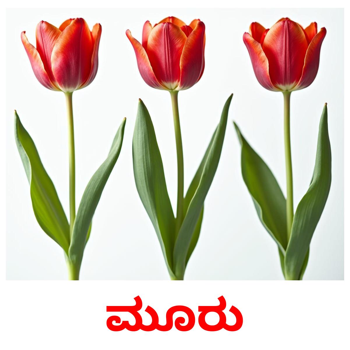 10 Printable Counting Flashcards in Kannada (Free PDF)