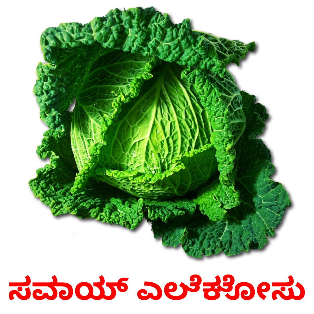 29 FREE Vegetables Flashcards | PDF | Kannada Words