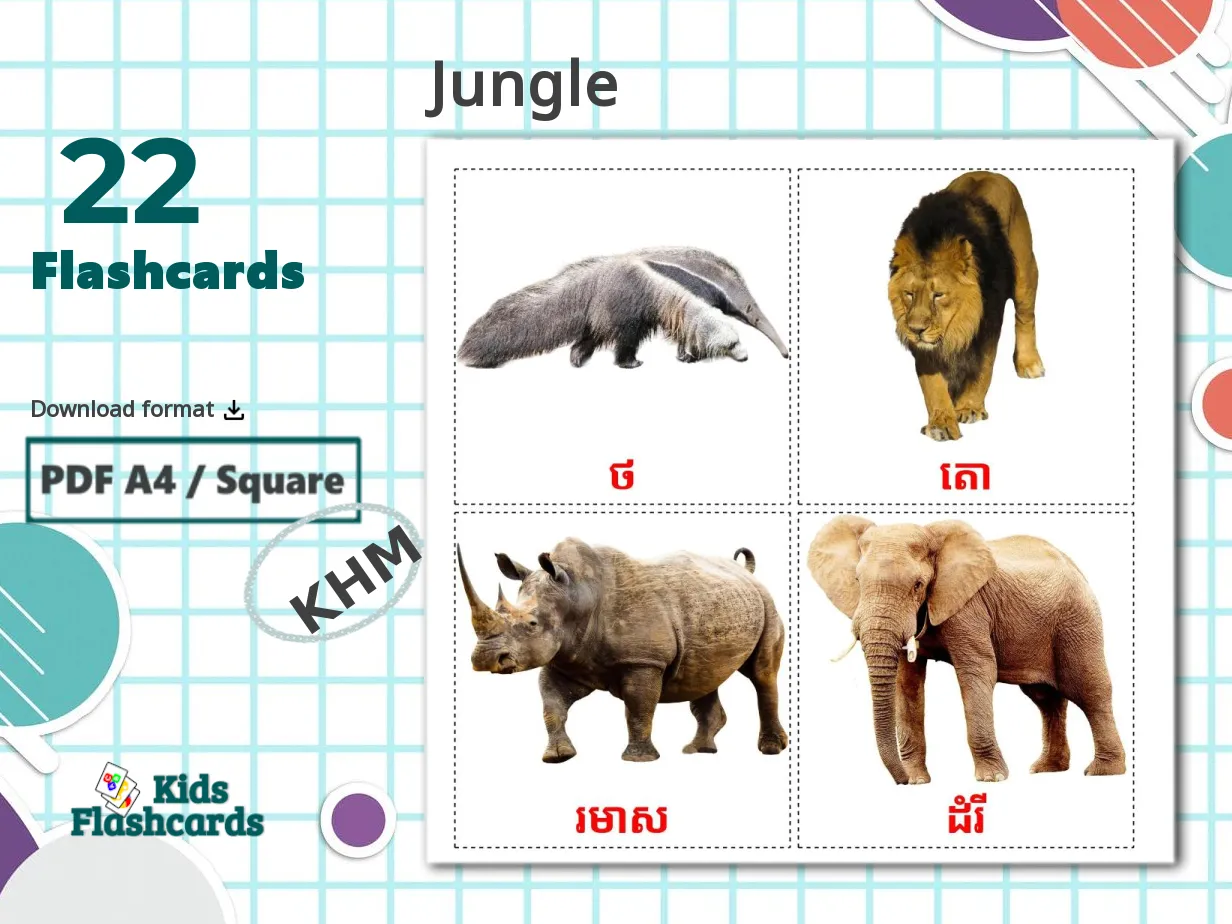 22 Printable Jungle animals Flashcards in Khmer (Free PDF)