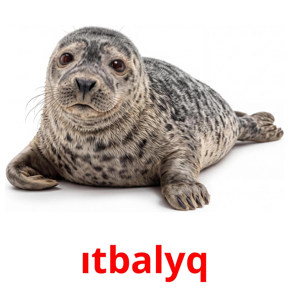 30 Printable Sea animals Flashcards in Kazakh(latin) (Free PDF)
