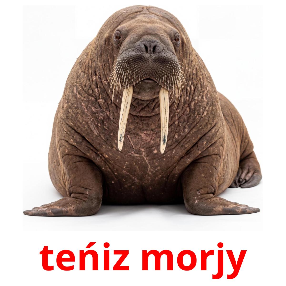 30 Printable Sea animals Flashcards in Kazakh(latin) (Free PDF)