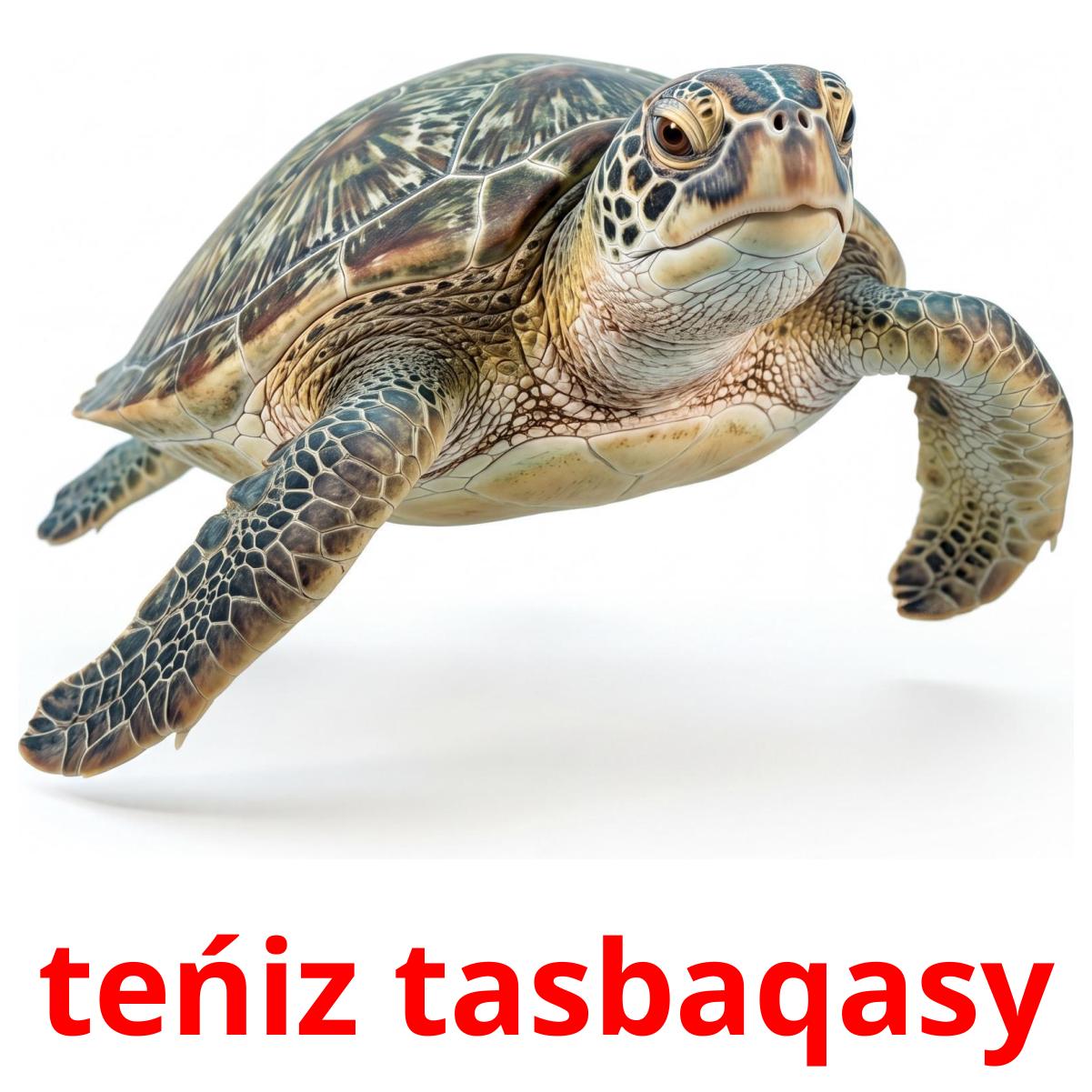 30 Tarjetas de Aprendizaje de Animales Marinos GRATIS en PDF | Imágenes ...