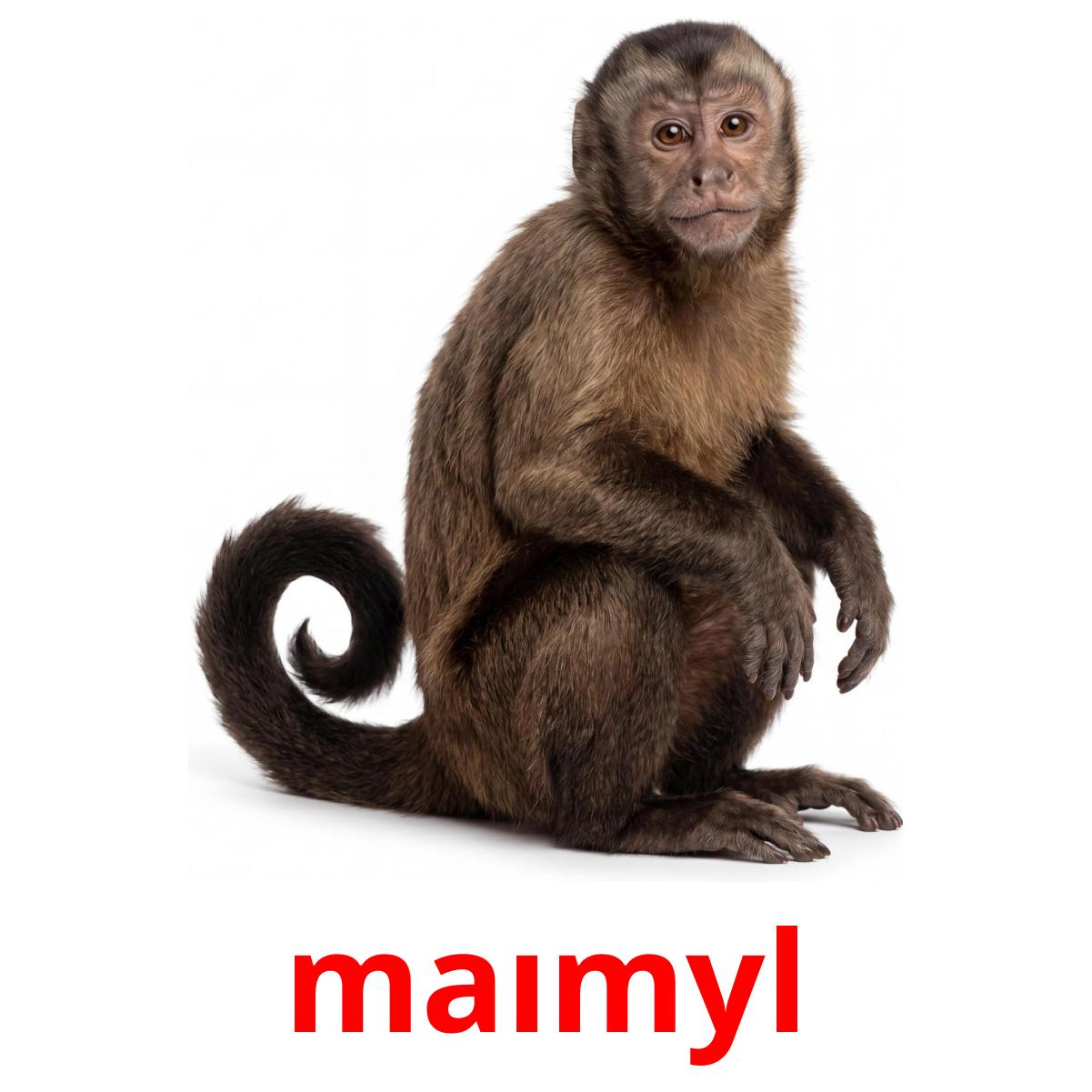 22 Printable Jungle animals Flashcards in Kazakh(latin) (Free PDF)