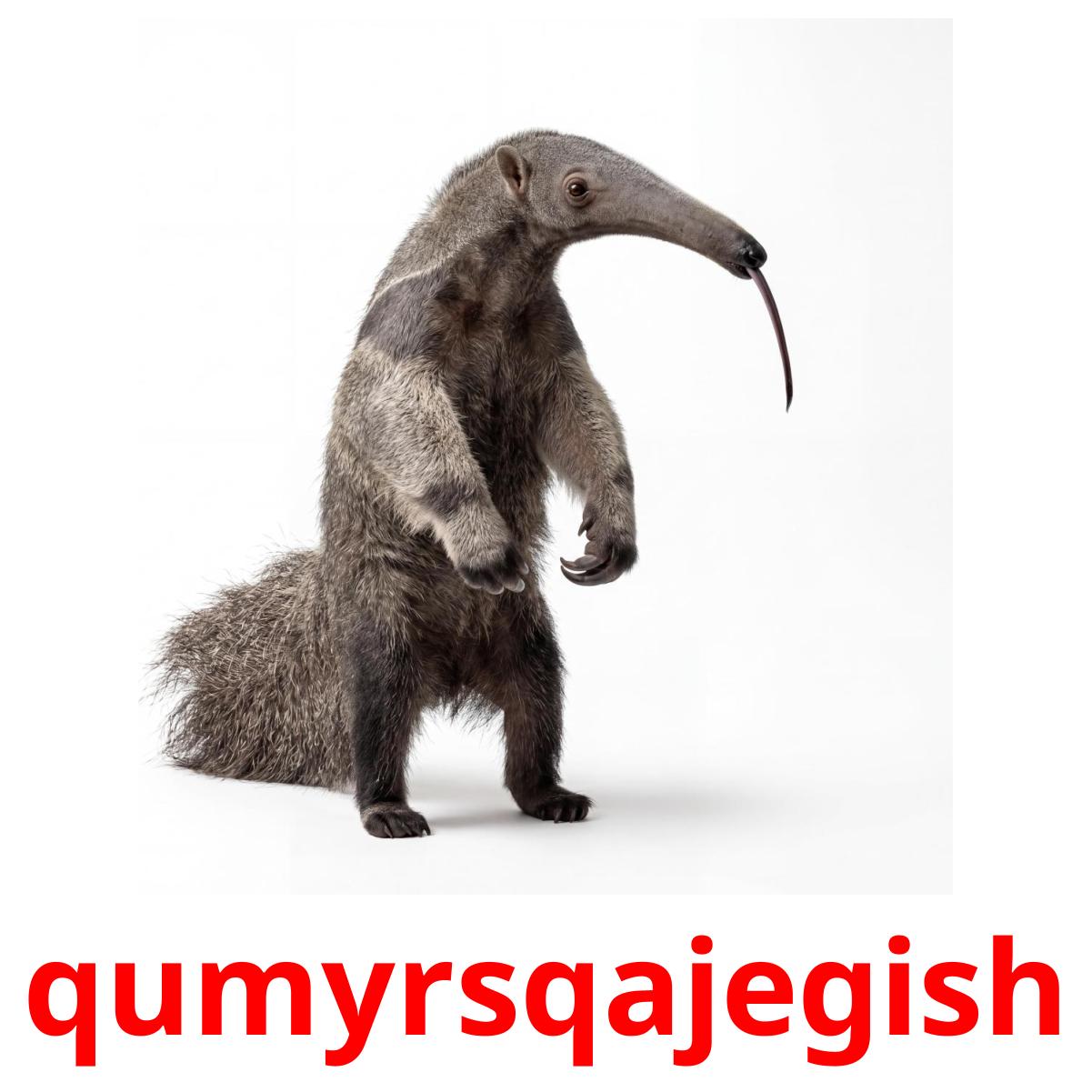 22 Printable Jungle animals Flashcards in Kazakh(latin) (Free PDF)