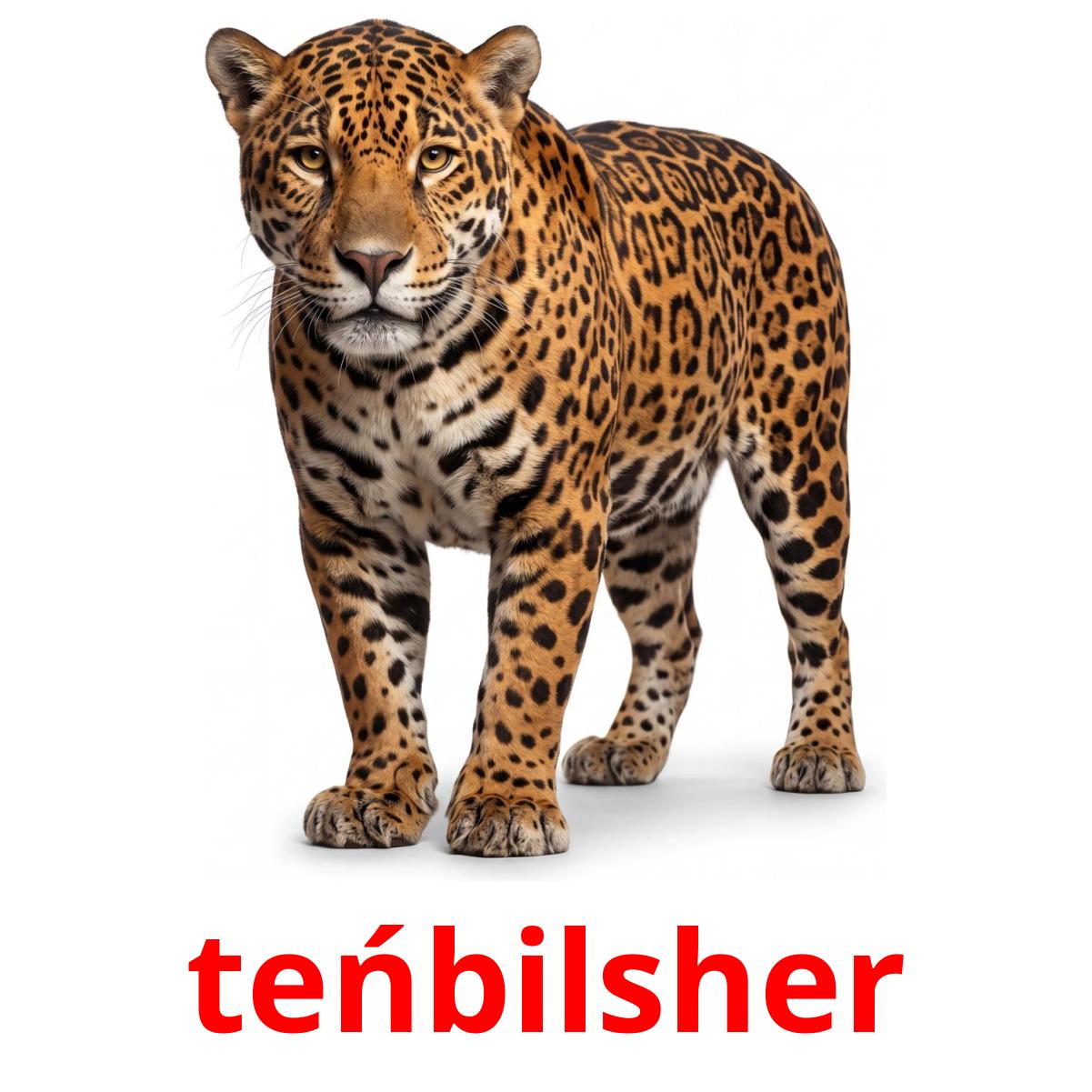 22 Printable Jungle animals Flashcards in Kazakh(latin) (Free PDF)