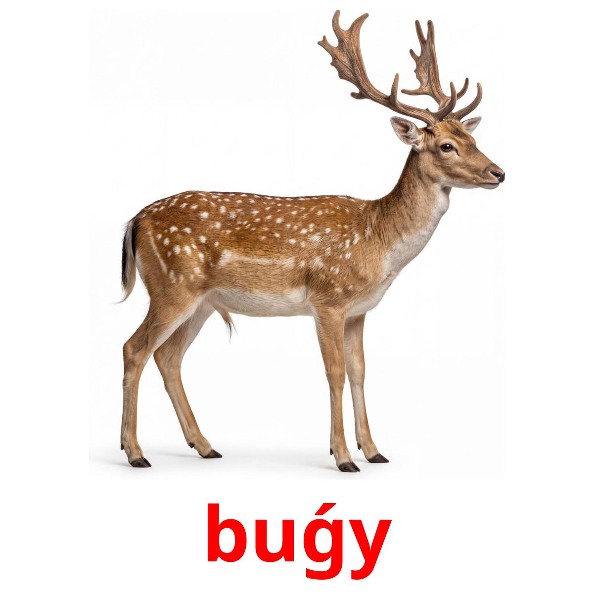 23 Printable Forest animals Flashcards in Kazakh(latin) (Free PDF)