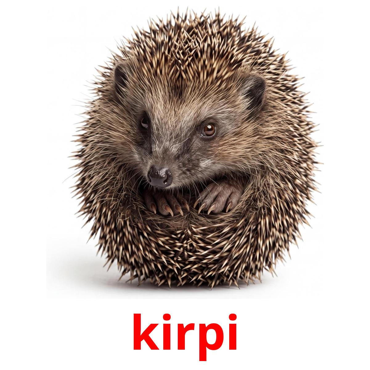 23 Printable Forest animals Flashcards in Kazakh(latin) (Free PDF)