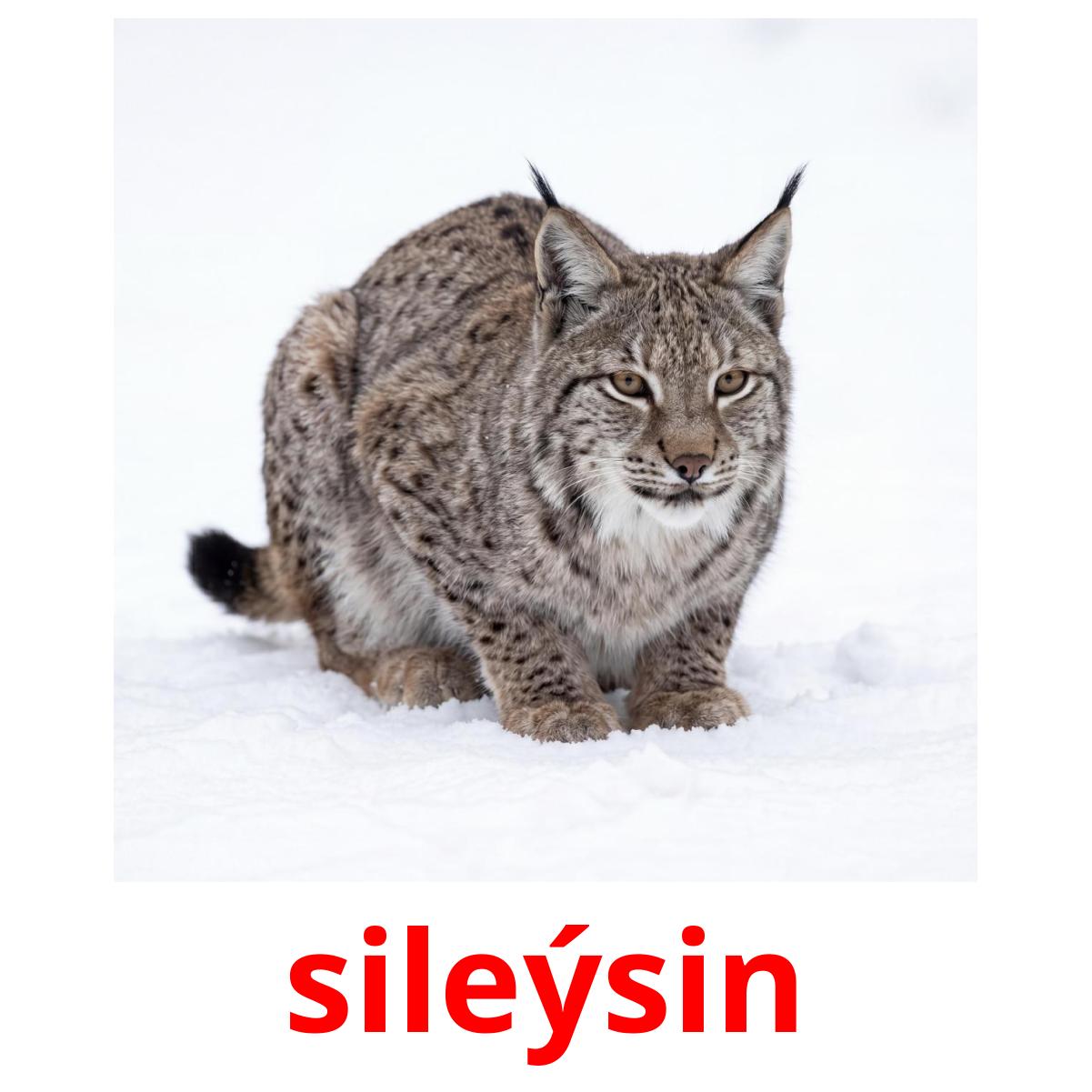 23 Printable Forest animals Flashcards in Kazakh(latin) (Free PDF)