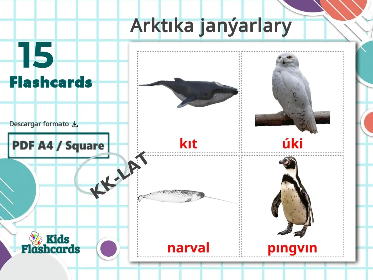 15 Tarjetas de Aprendizaje de Animales del Ártico GRATIS en PDF ...