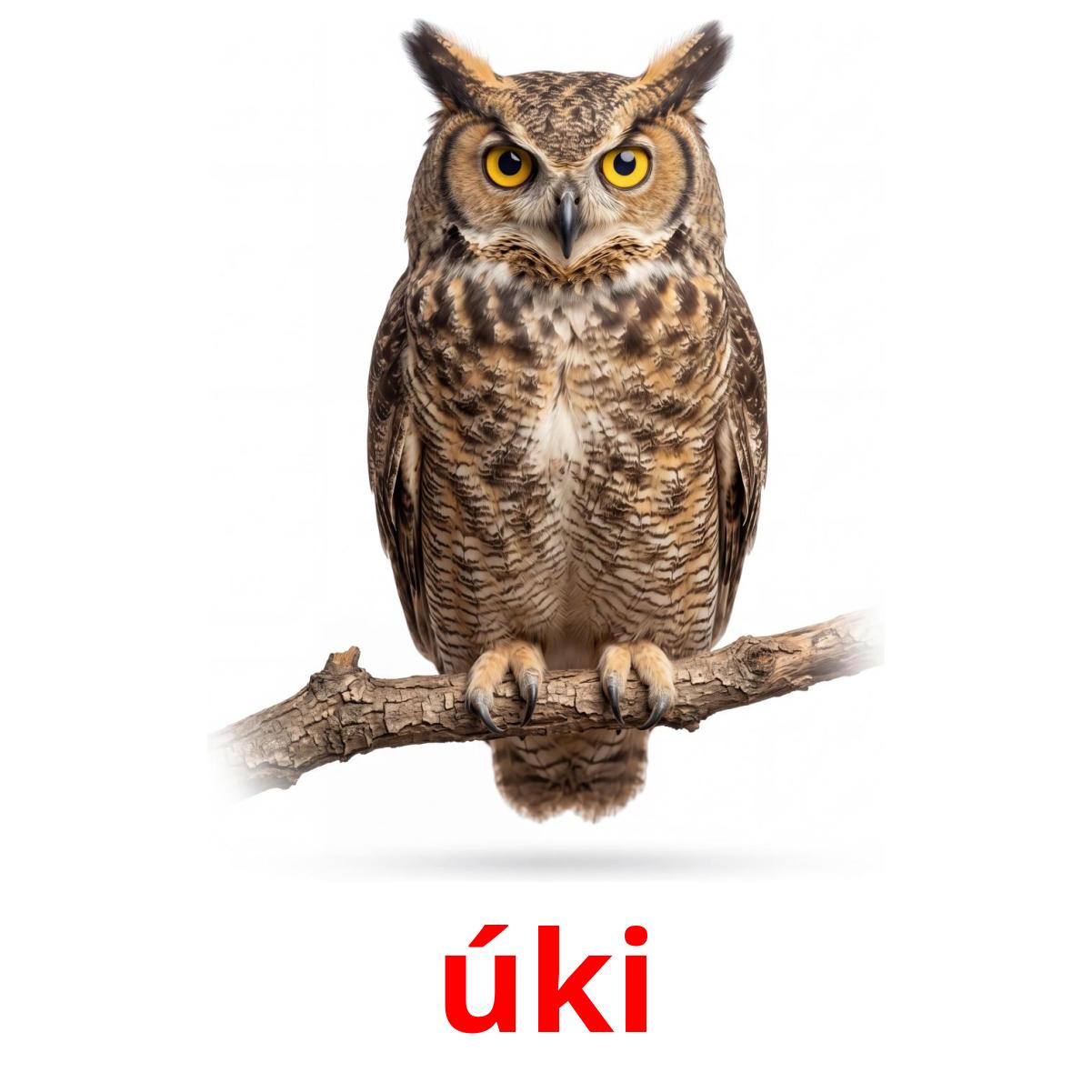 15 Printable Arctic animals Flashcards in Kazakh(latin) (Free PDF)