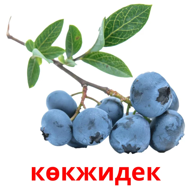 60 FREE Kazakh Food Flashcards | PDF