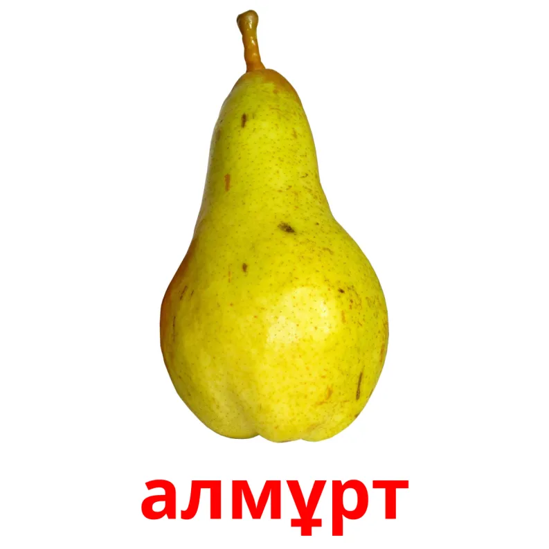 60 FREE Food Flashcards in Kazakh | Printable PDFs