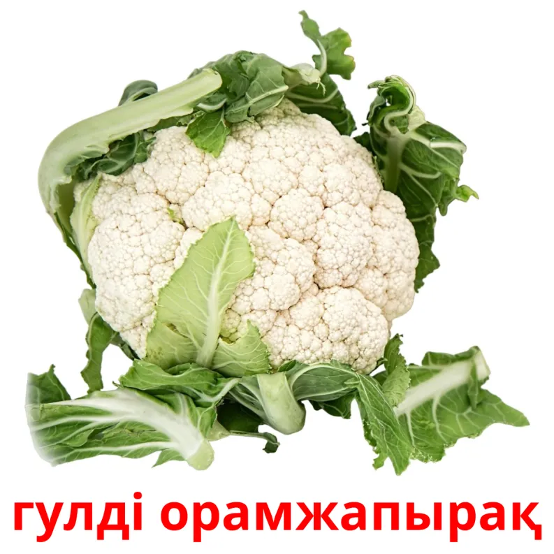 29 FREE Vegetables Flashcards | PDF | Kazakh Words