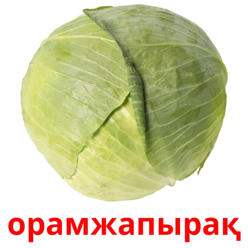29 Vegetables Flashcards in PDF | Kazakh Pictures
