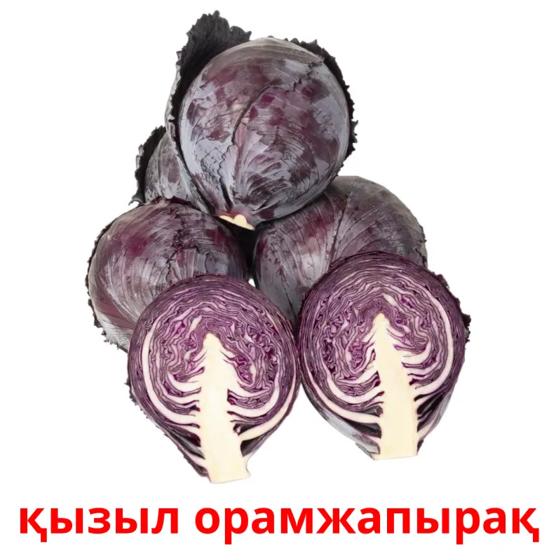 29 FREE Vegetables Flashcards | PDF | Kazakh Words