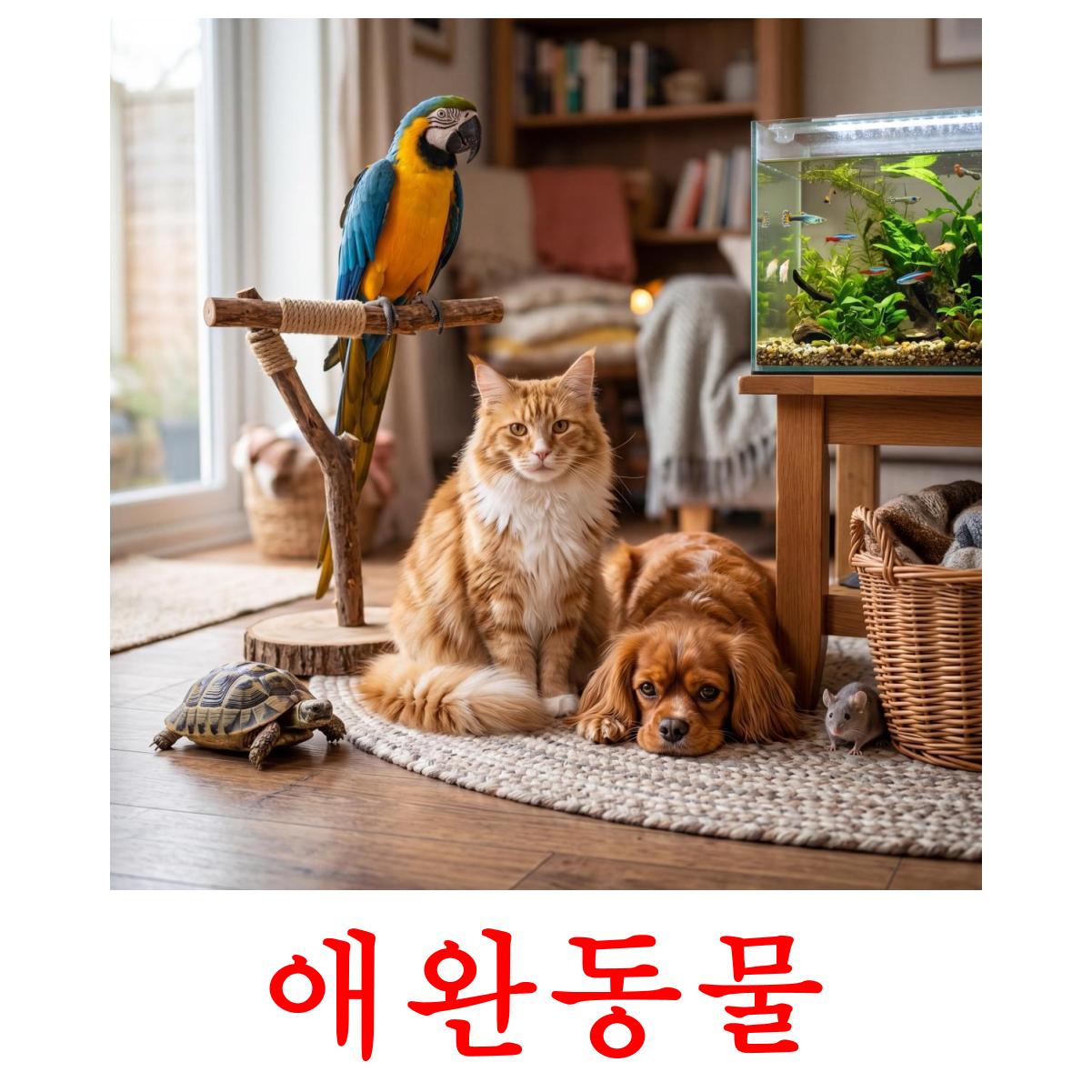 11 Printable Domestic animals Flashcards in Korean (Free PDF)