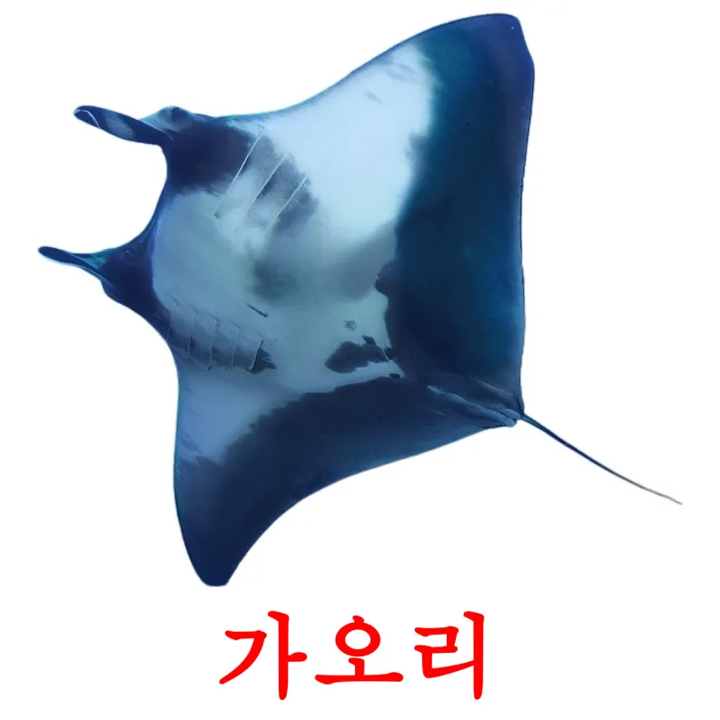 134 FREE Korean Animals Flashcards | PDF