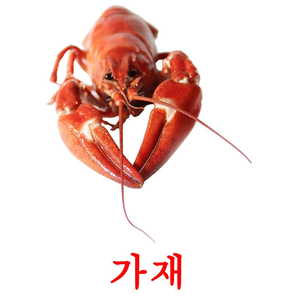 141 FREE Korean Animals Flashcards | PDF