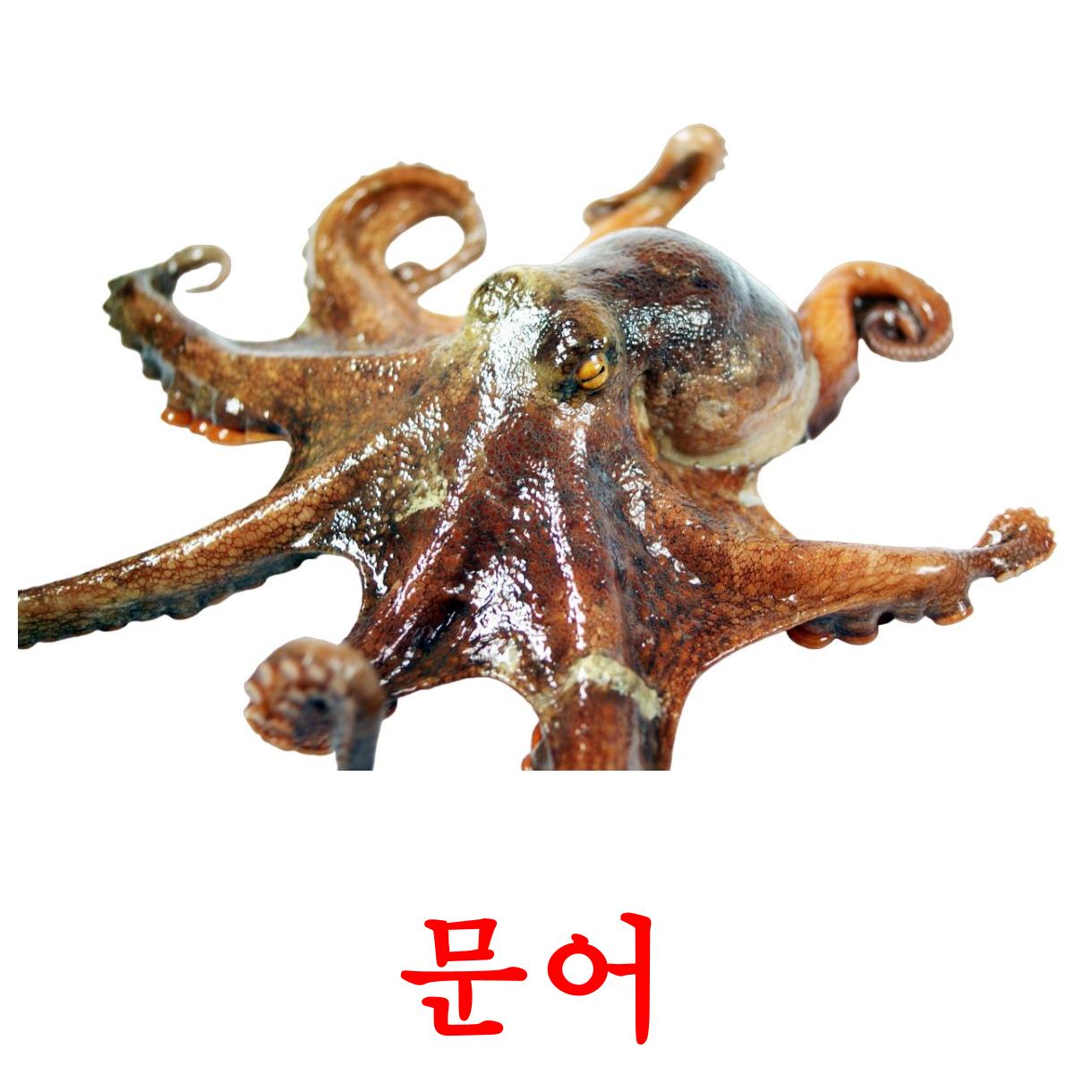 30 Printable Sea animals Flashcards in Korean (Free PDF)