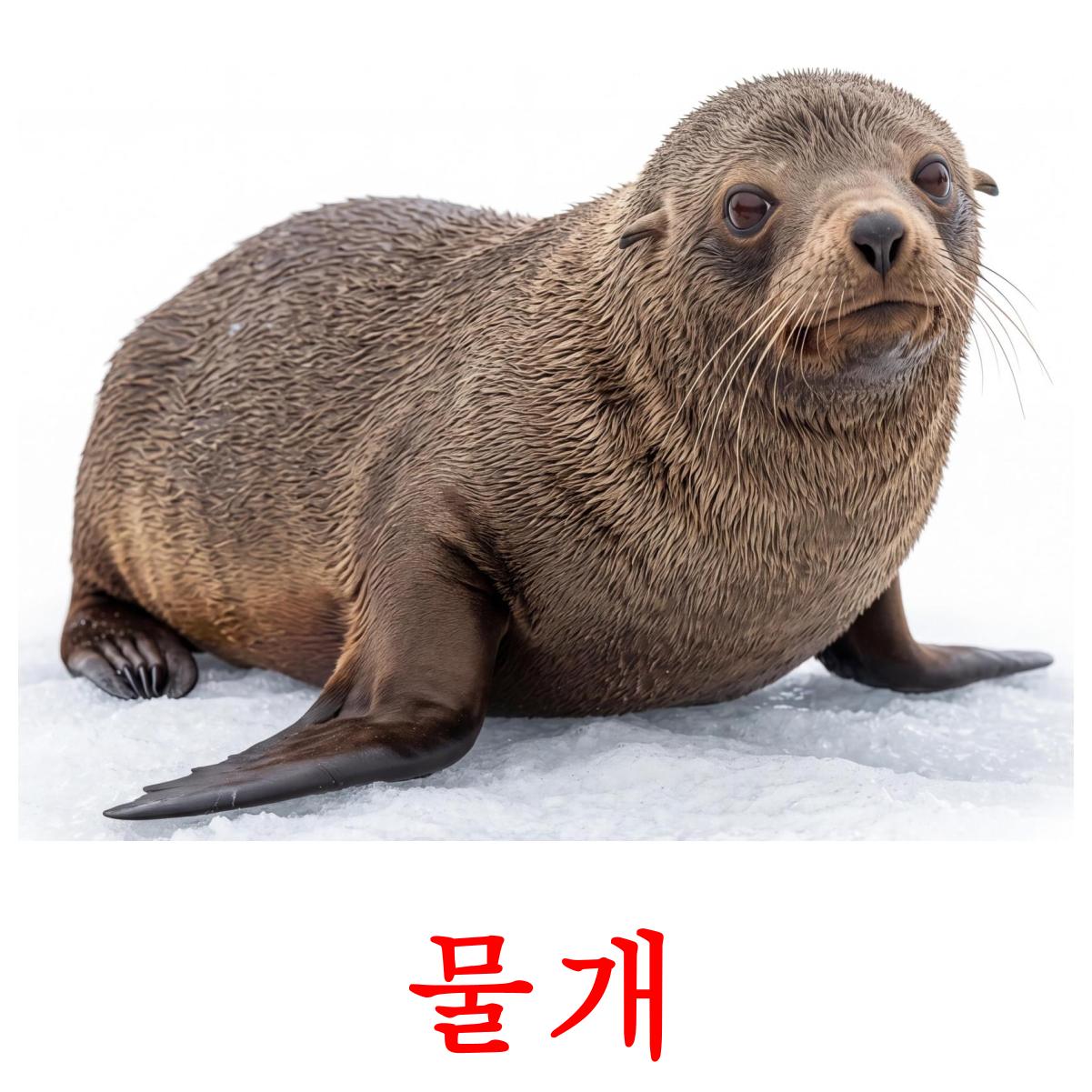 30 Printable Sea animals Flashcards in Korean (Free PDF)