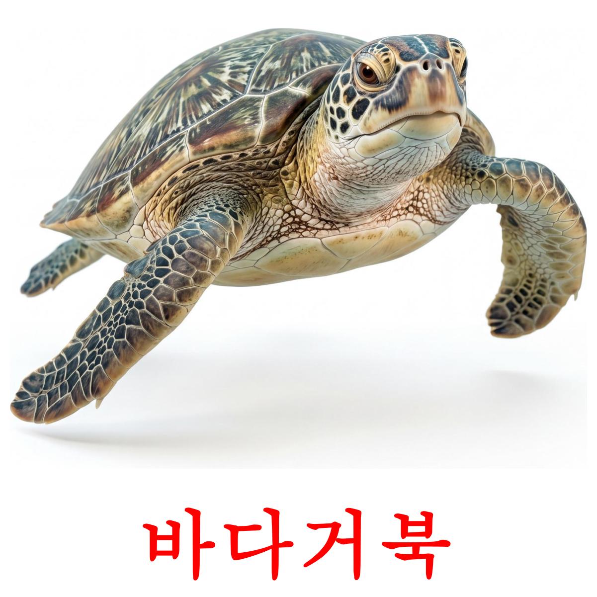 30 Printable Sea animals Flashcards in Korean (Free PDF)
