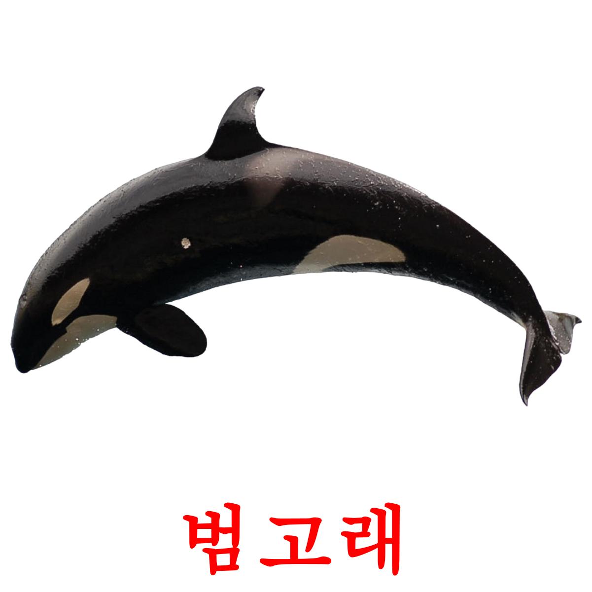 30 Printable Sea animals Flashcards in Korean (Free PDF)