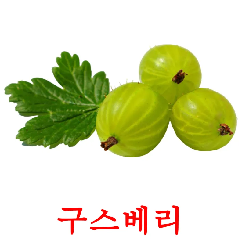 60 FREE Korean Food Flashcards | PDF