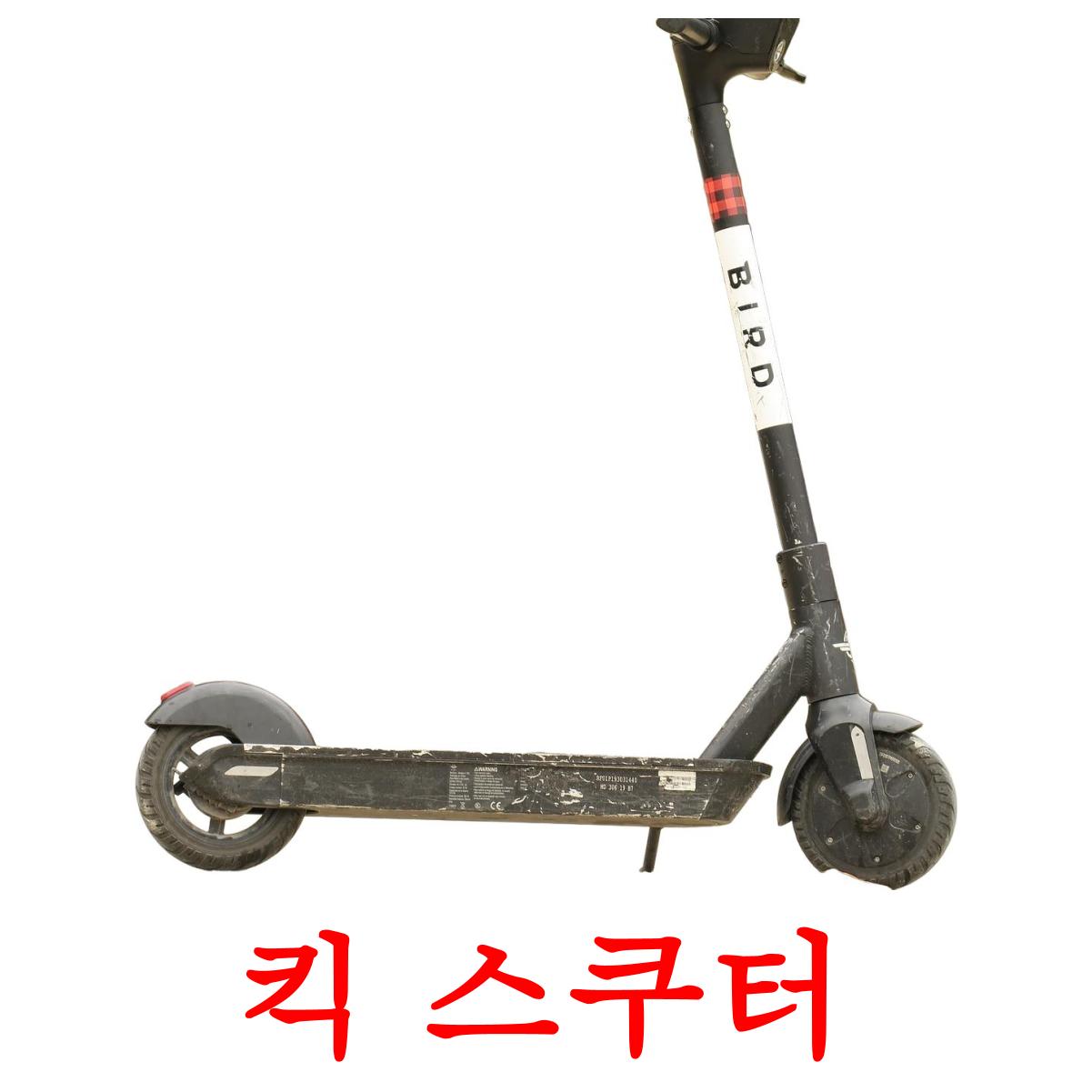 17 Printable Bicycle transport Flashcards in Korean (Free PDF)