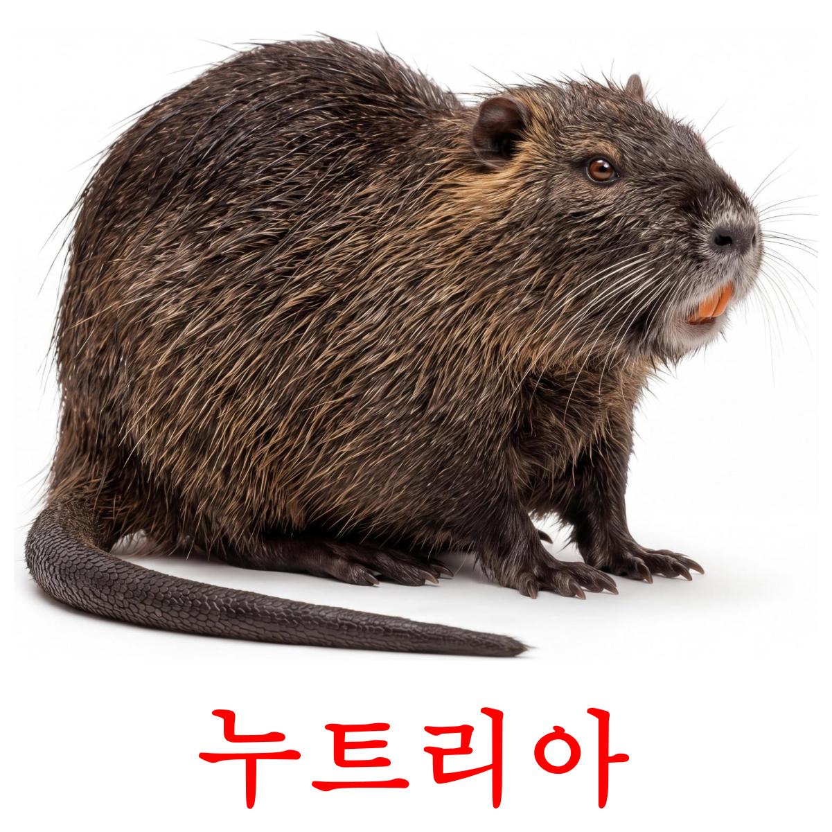141 FREE Korean Animals Flashcards | PDF