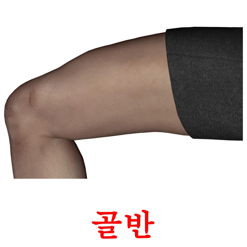 26 FREE Body Parts Flashcards | PDF | Korean Words