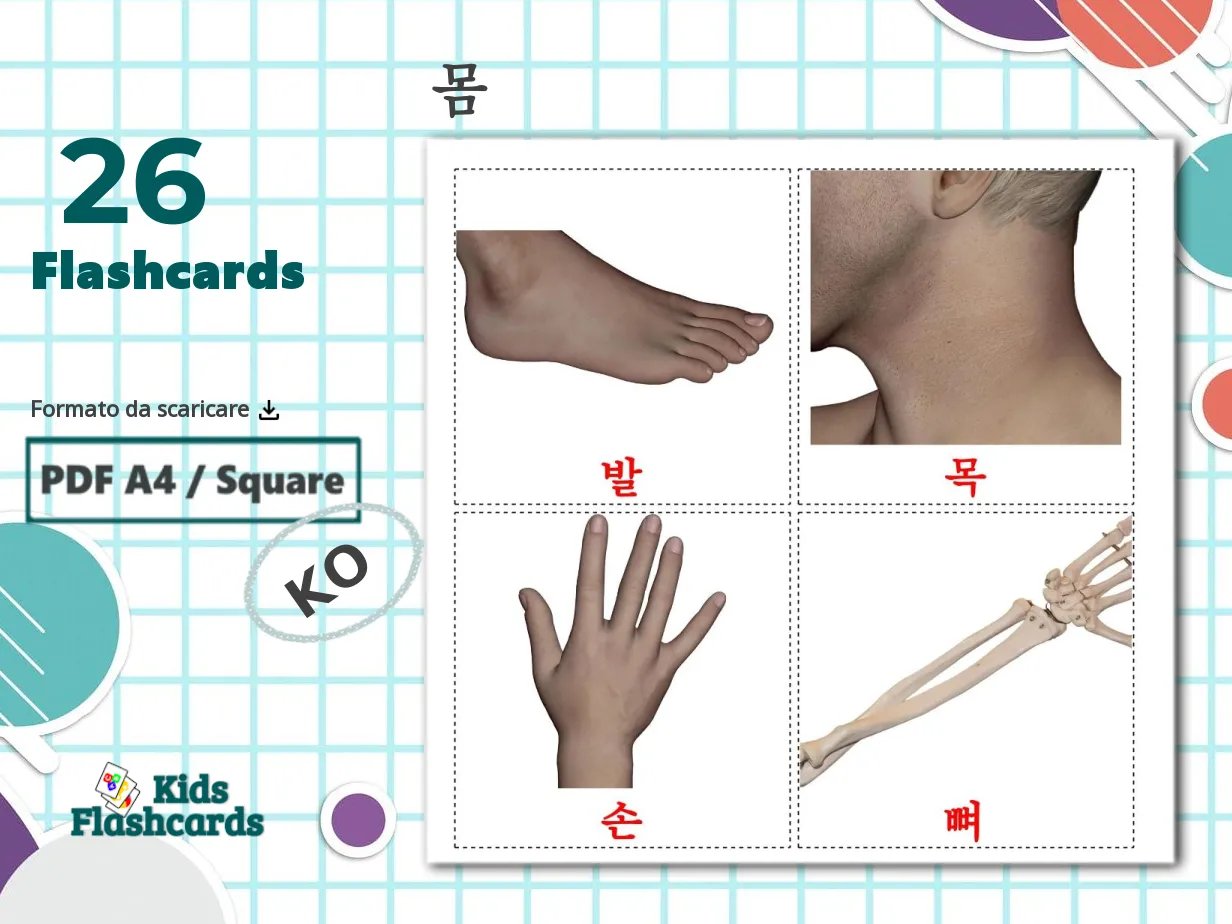 26 Flashcard GRATUITE sui Parti del corpo in 4 Formati PDF | Immagini ...