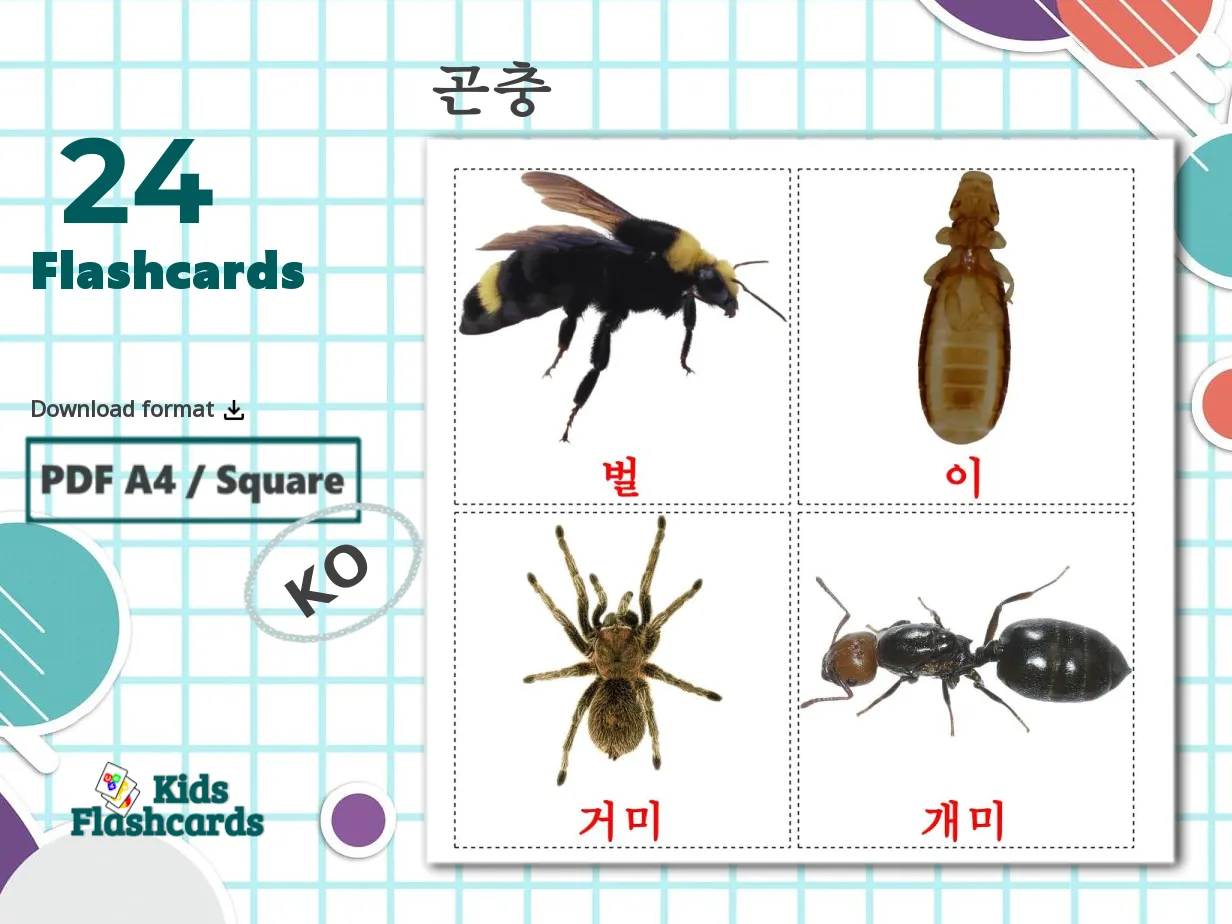 24 Printable Insects Flashcards in Korean (Free PDF)
