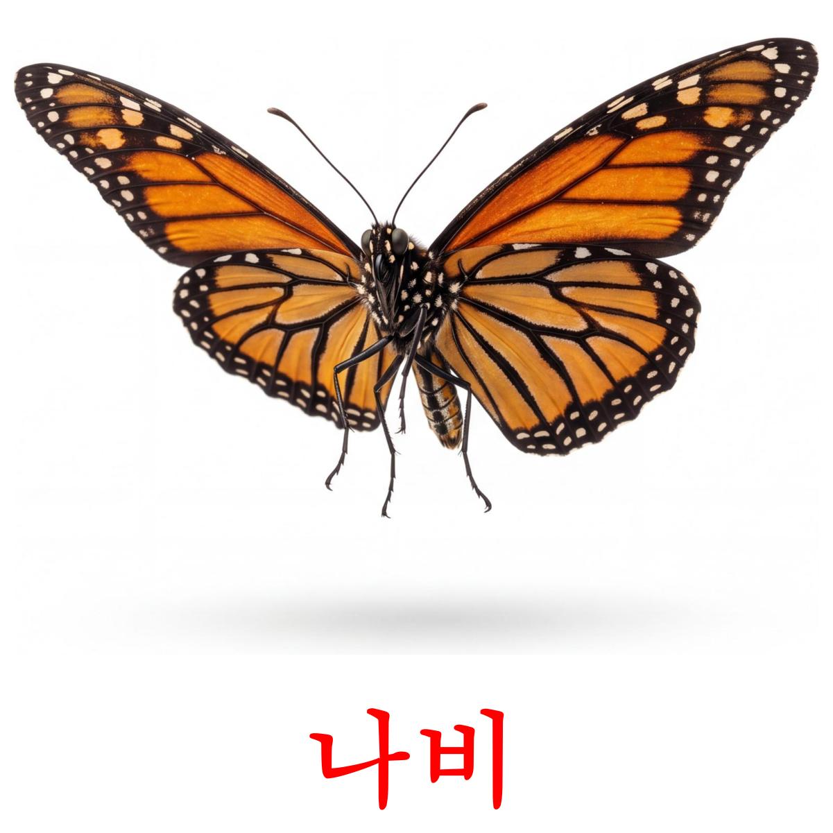 24 Tarjetas de Aprendizaje de Insectos GRATIS en PDF | Imágenes en Coreano