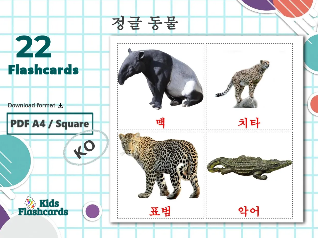 22 Printable Jungle animals Flashcards in Korean (Free PDF)