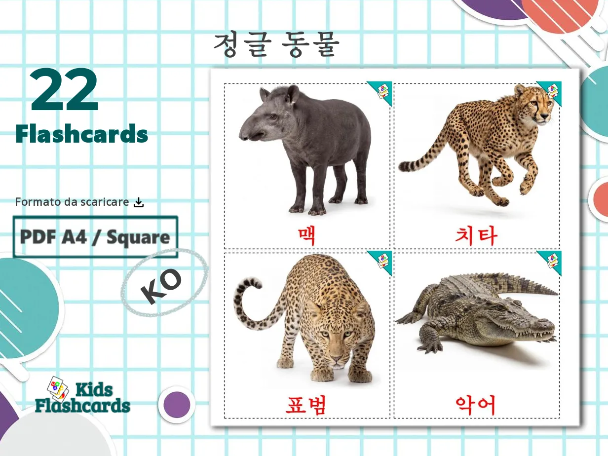 22 Flashcard GRATUITE sui Animali della giungla in 4 Formati PDF ...