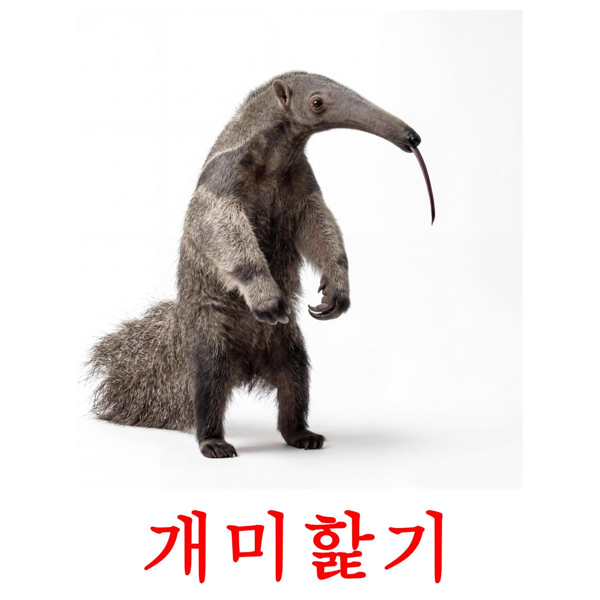 141 FREE Korean Animals Flashcards | PDF