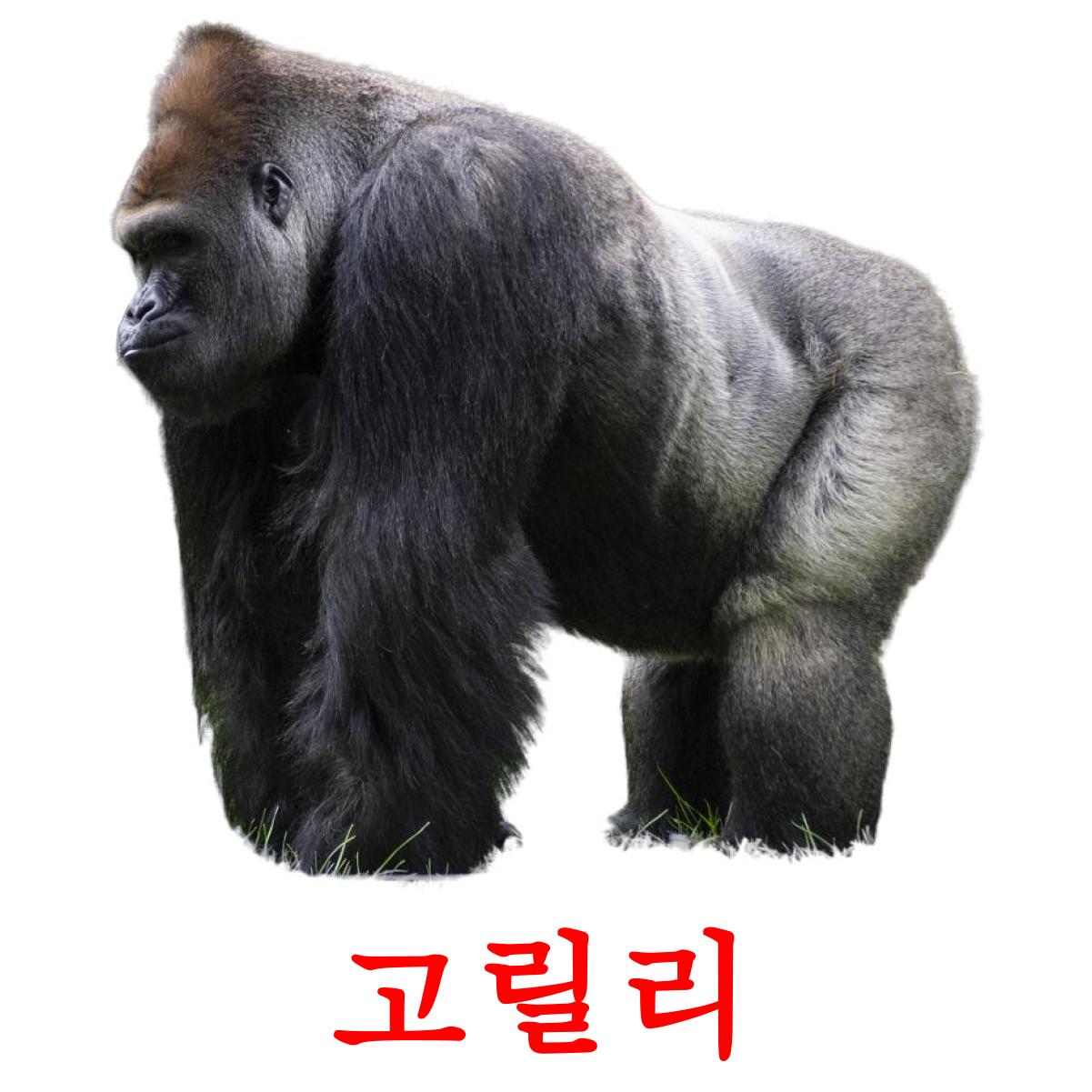 141 FREE Korean Animals Flashcards | PDF
