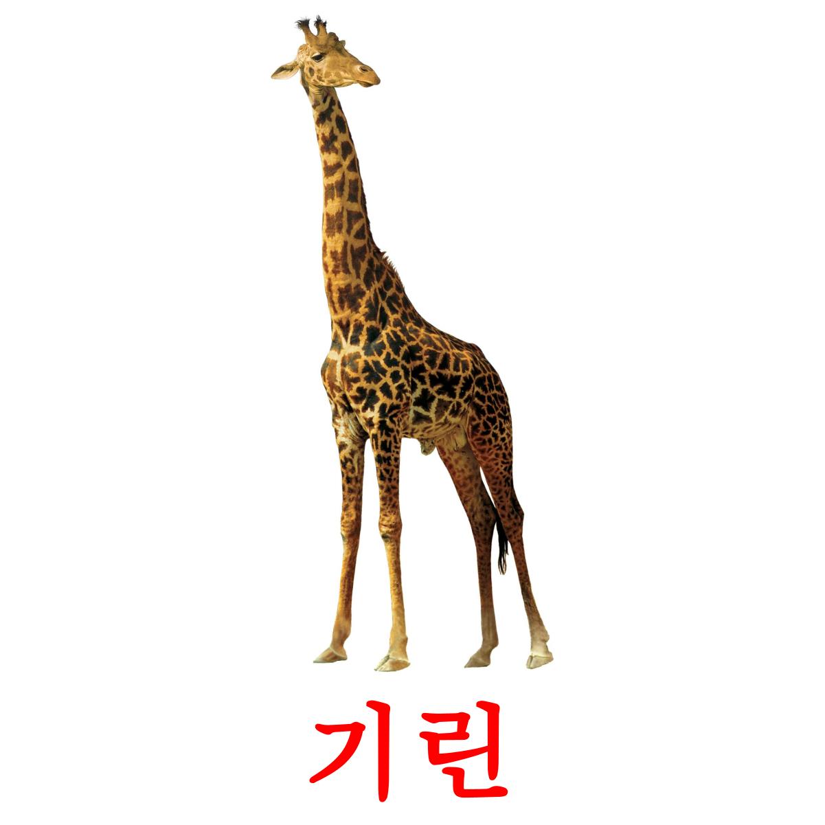 141 FREE Korean Animals Flashcards | PDF