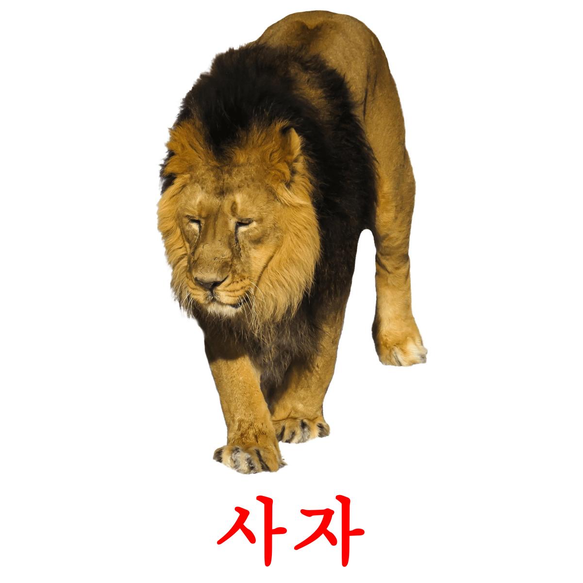 22 Printable Jungle animals Flashcards in Korean (Free PDF)