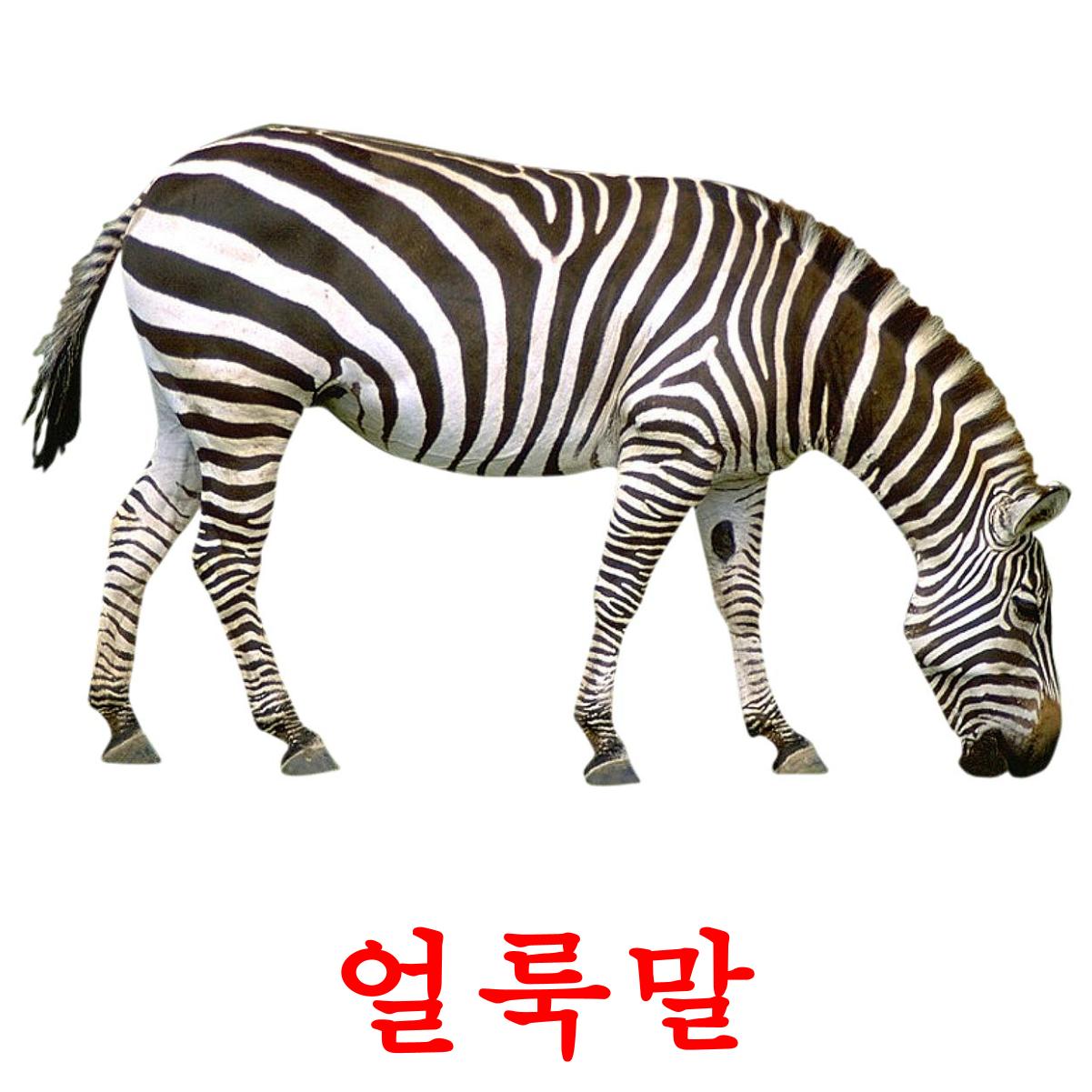 22 Printable Jungle animals Flashcards in Korean (Free PDF)