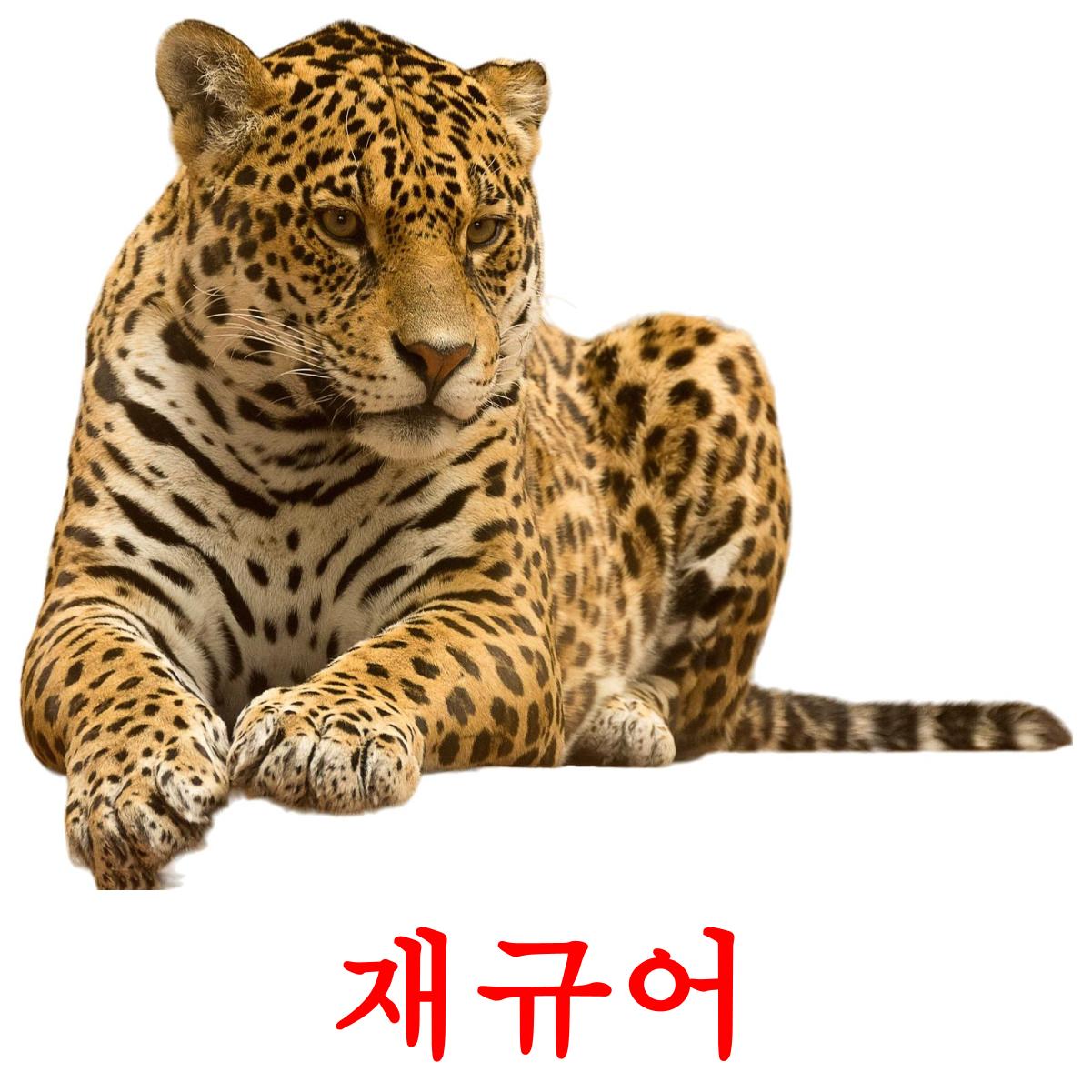 22 Printable Jungle animals Flashcards in Korean (Free PDF)