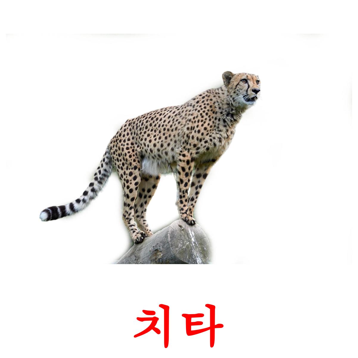 22 Printable Jungle animals Flashcards in Korean (Free PDF)