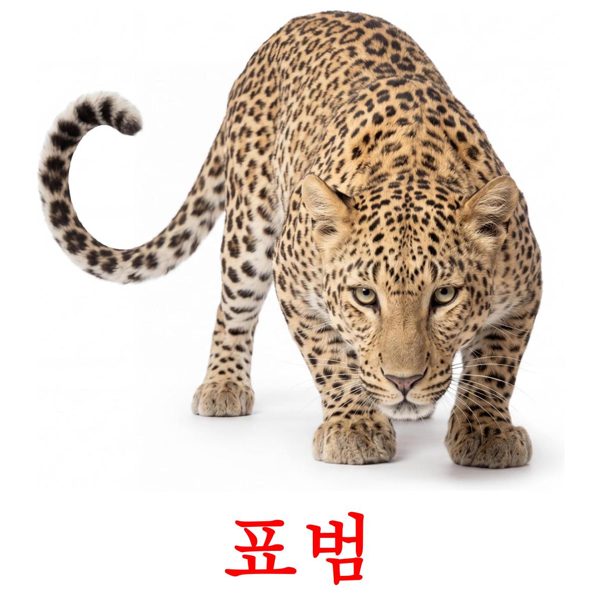 22 Printable Jungle animals Flashcards in Korean (Free PDF)