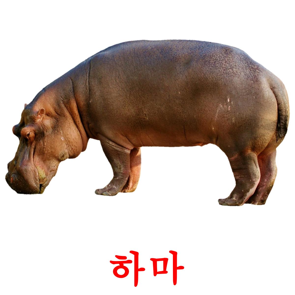 22 Printable Jungle animals Flashcards in Korean (Free PDF)