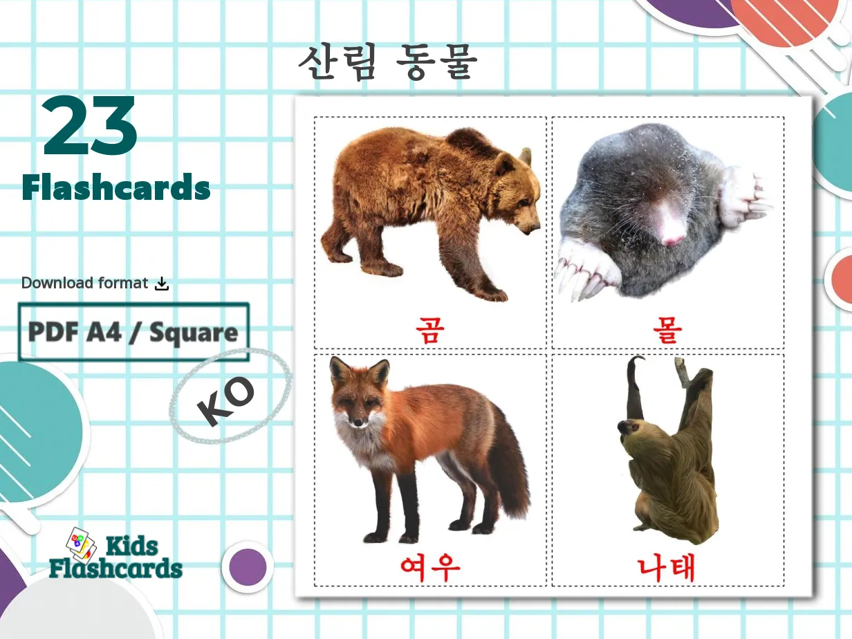 23 Printable Forest animals Flashcards in Korean (Free PDF)