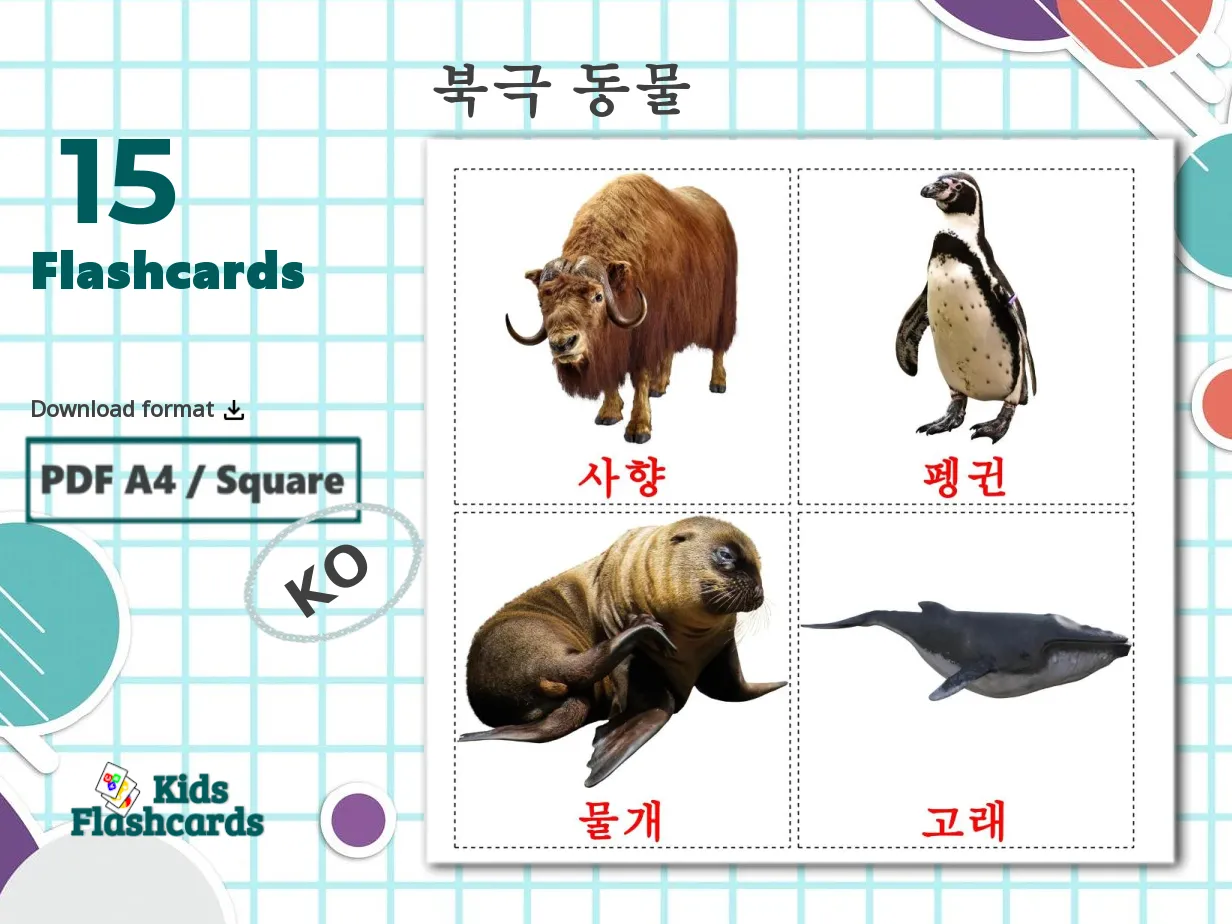 15 Printable Arctic animals Flashcards in Korean (Free PDF)