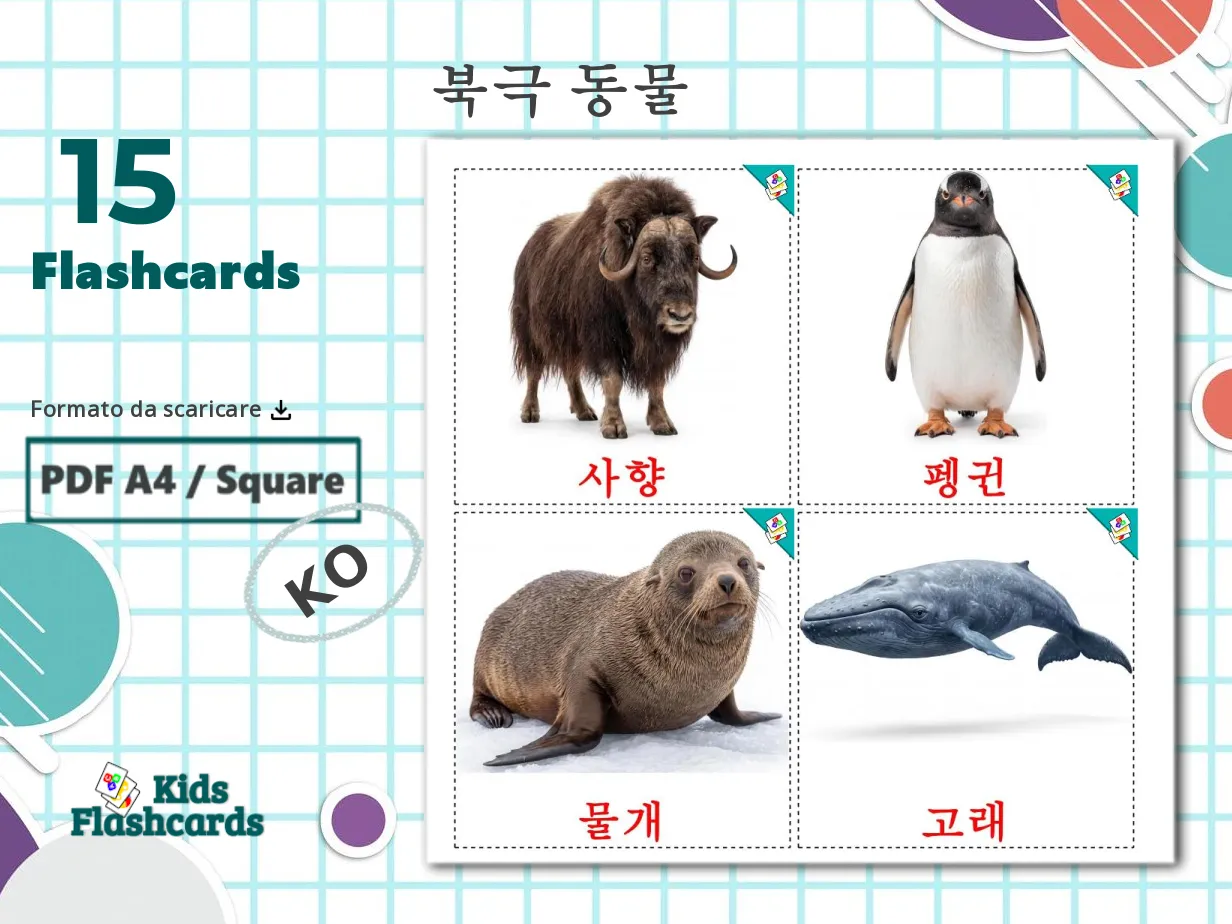 15 Flashcard GRATUITE sui Animali artici in 4 Formati PDF | Immagini in ...