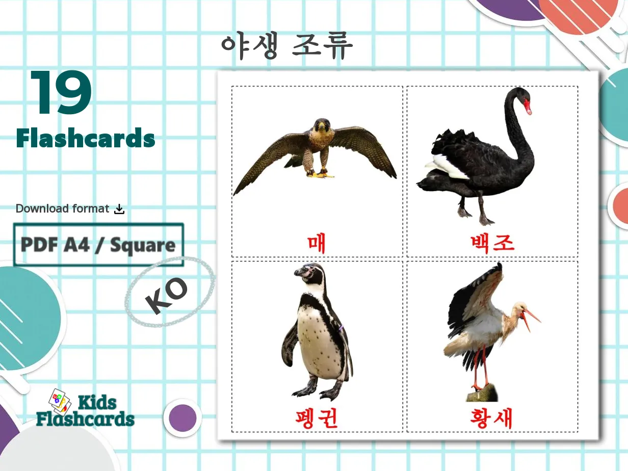 19 Printable Wild birds Flashcards in Korean (Free PDF)