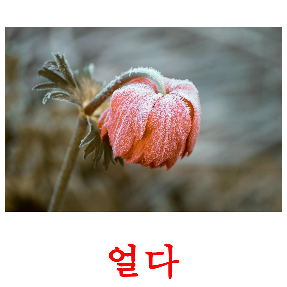 32 Printable Weather Flashcards in Korean (Free PDF)